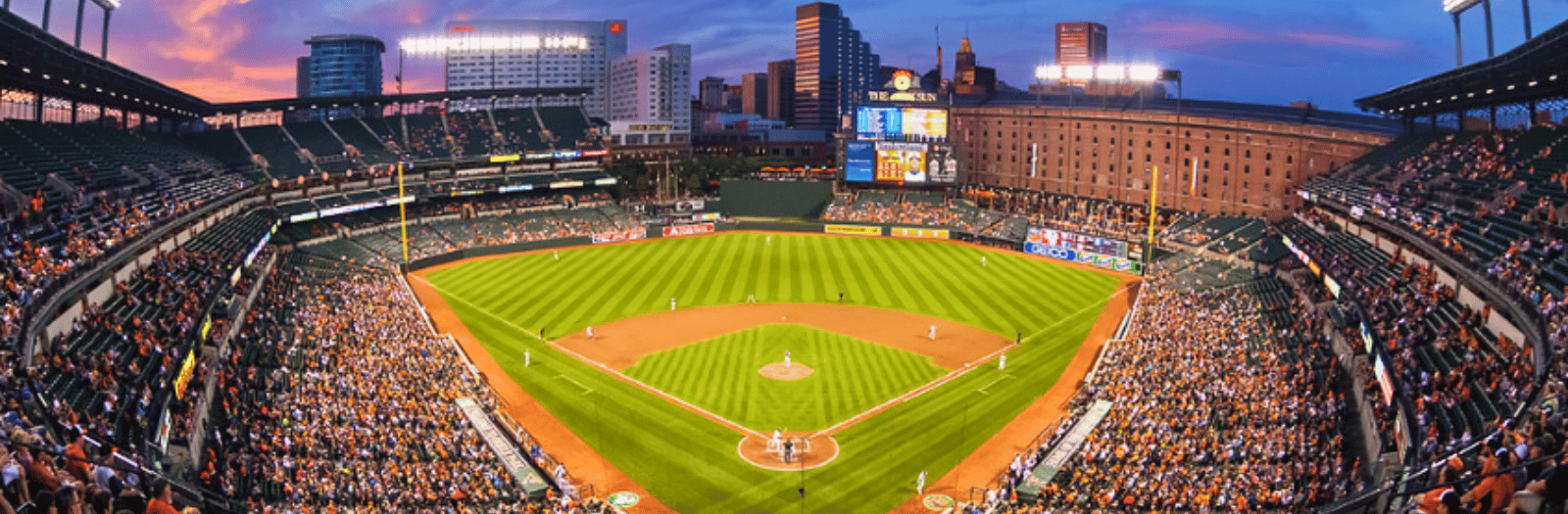 Exploring Handicap Accessibility at Camden Yards with Freedom Mobility ...